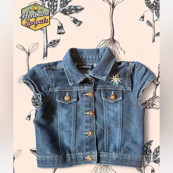Limited Too | Shirts & Tops | Limited Too Embroidered Blue Jean Top ...
